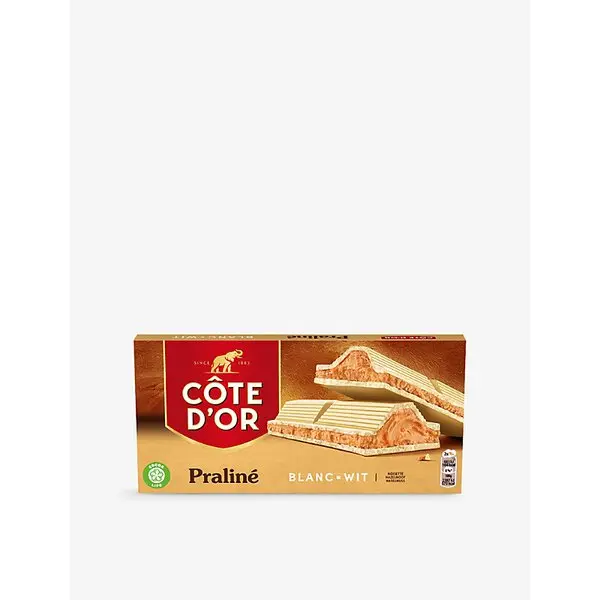 COTE D'OR Carre Nuts Caramel Pralines 180g