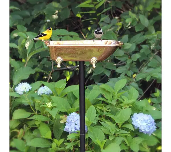 GOOD DIRECTIONS Splish-splash Bird Bath Copper Finish Good D Irections