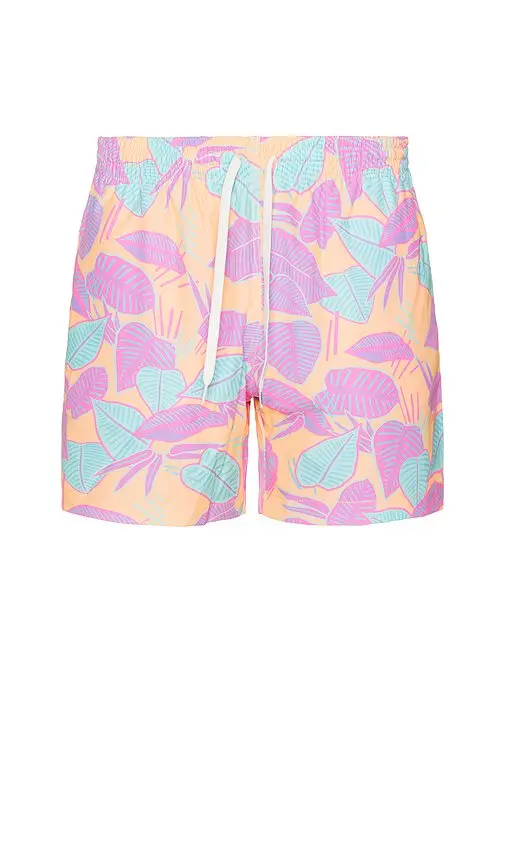 CHUBBIES Posh Palms 5.5 Swim Short - Bright Orange