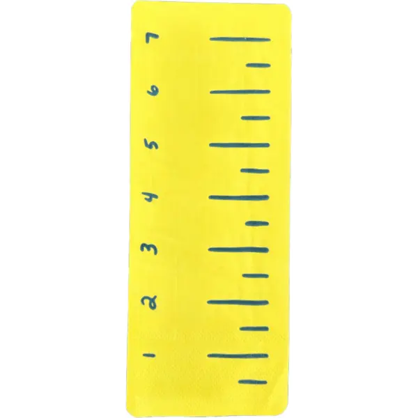 DAYDREAM SOCIETY Smarty Pants Ruler Guest Napkins