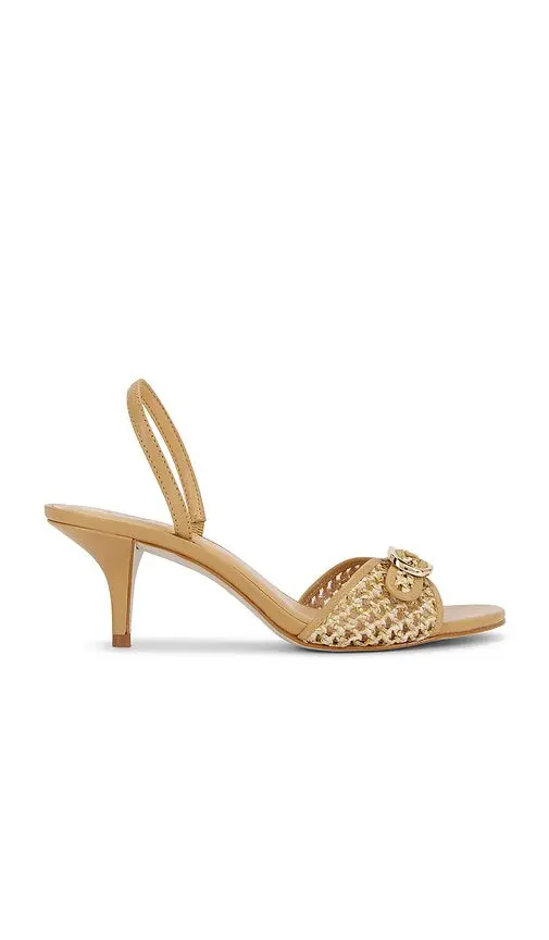 Steve Madden Henrietta Sandal - Raffia