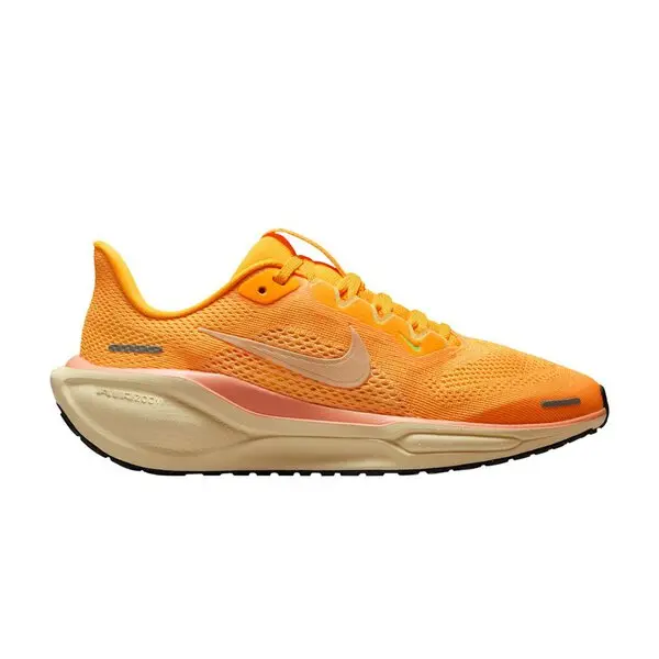 Nike Air Zoom Pegasus 41 Gs