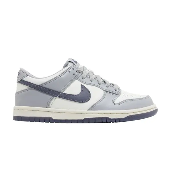 Nike Dunk Low Gs Sneakers