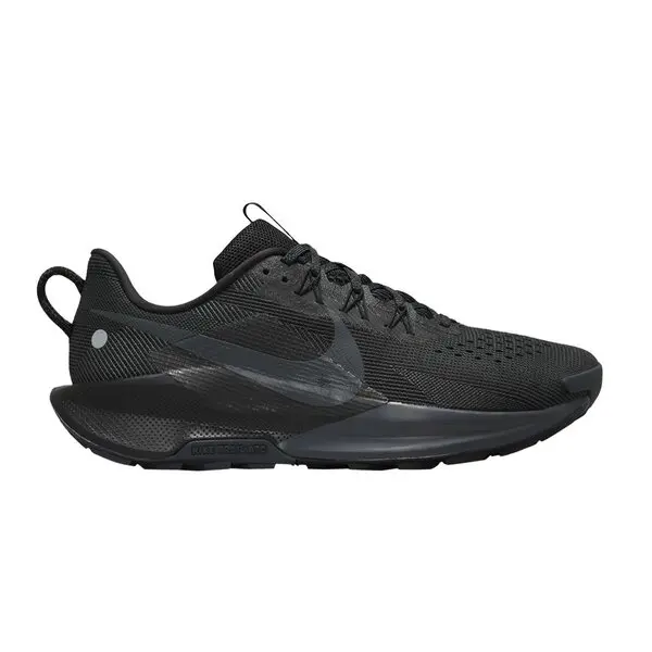 Nike Pegasus Trail