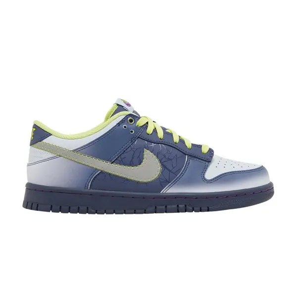 Nike Dunk Low Gs Sneakers