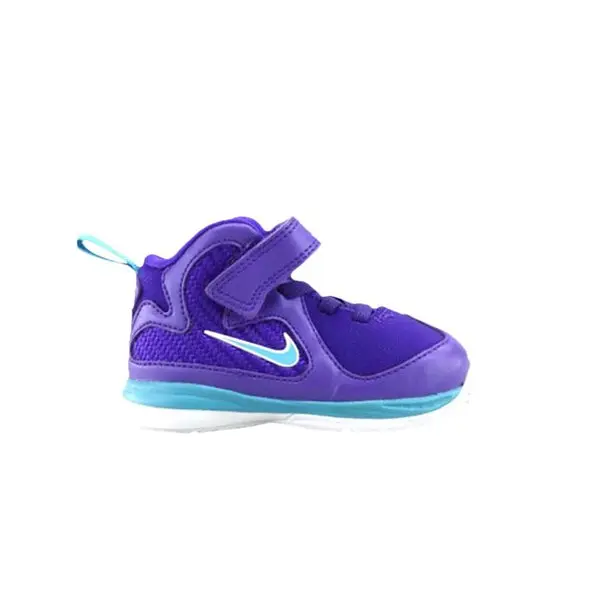 Nike Lebron 9 Td 'summit Lake Hornets
