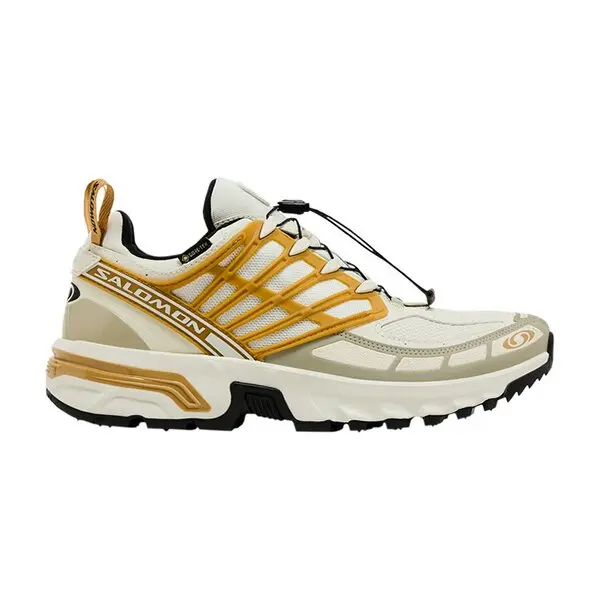 SALOMON Acs Pro Gore-tex 'icicle Antelope