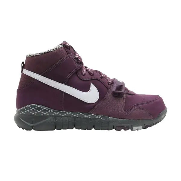 Nike Trainer Dunk High