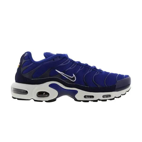 Nike Air Max Plus Tn Sneakers