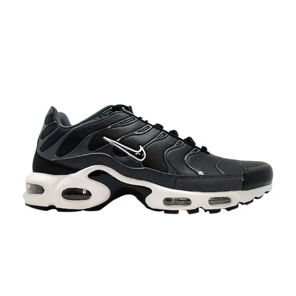 Nike Air Max Plus Sneakers - Black