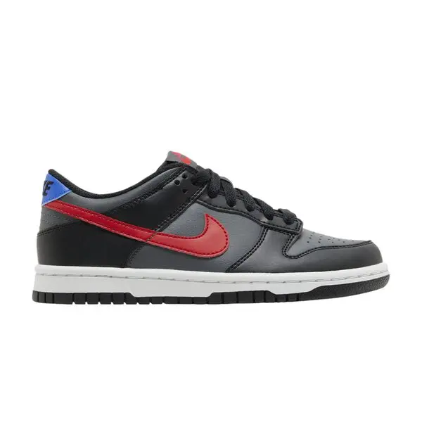 Nike Dunk Low Sneakers