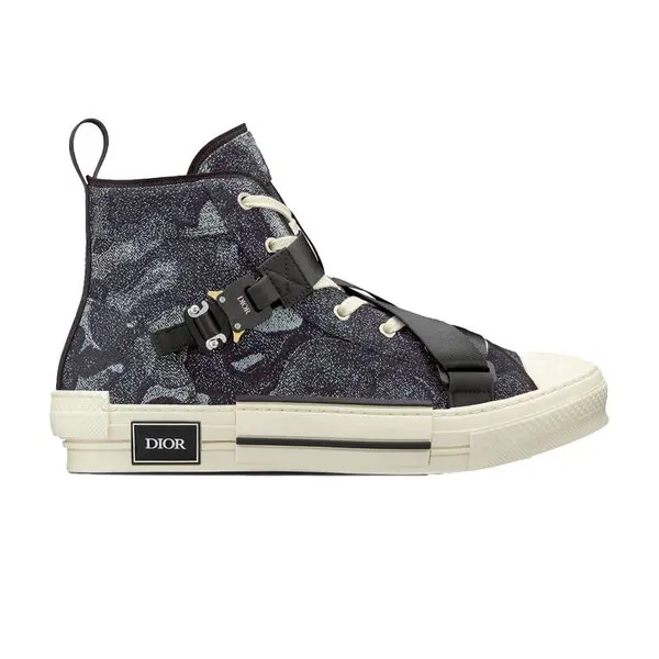 Dior Peter Doig B23 High Top Sneakers