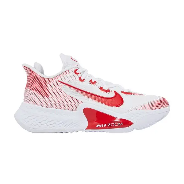 Nike Air Zoom Bb Nxt Tb Sneakers