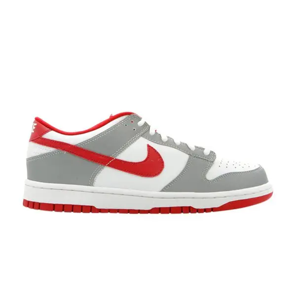 Nike Dunk Low Top Sneakers - White
