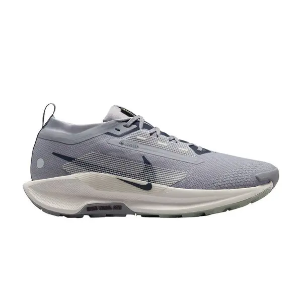 Nike Pegasus Trail 5 Gore-tex - Grey