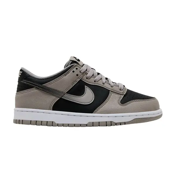 Nike Dunk Low Top Sneakers