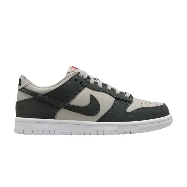 Nike Dunk Low Gs Sneakers