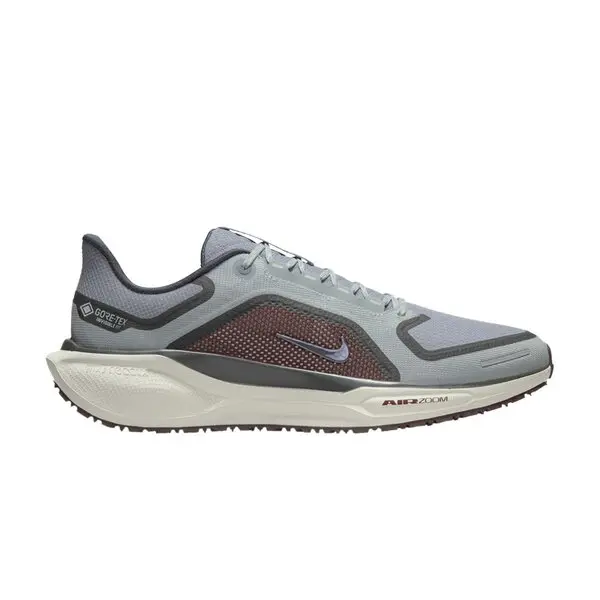 Nike Air Zoom Pegasus 41 Gore-tex
