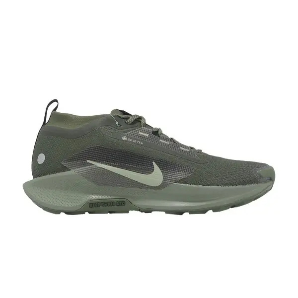 Nike Pegasus Trail 5 Gore-tex