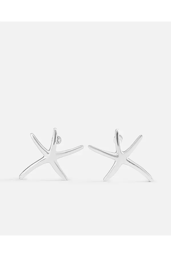 AUREUM Estelle Drop Earrings - Silver