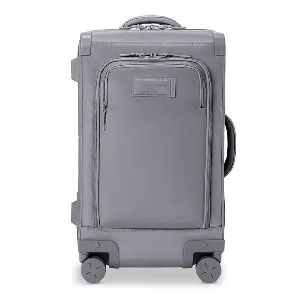 Dagne Dover 23.5" Carry On Rolling Suitcase - Ash
