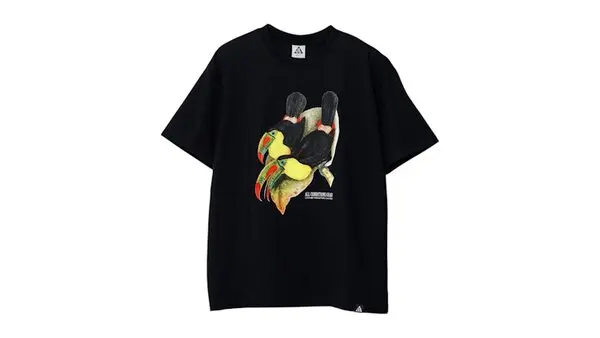 Nike Acg Toucan Tee Shirt - Black
