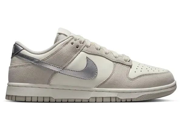 Nike Dunk Low Silver Swoosh