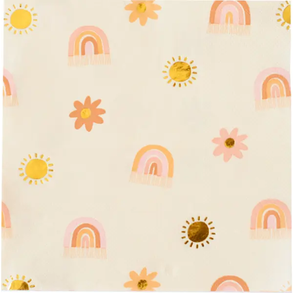 DAYDREAM SOCIETY Boho Rainbow Large Napkins