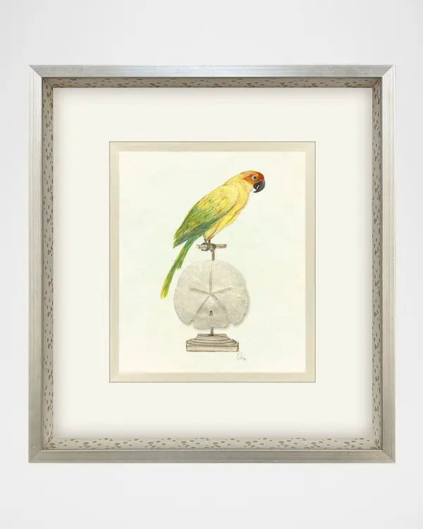 PARAGON DECORS Treasure Parrot Iii" Hand-embellished Giclee Popjoy Studio