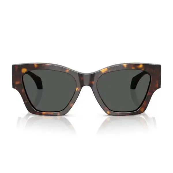Versace 0ve4492u Tortoiseshell Sunglasses - Brown