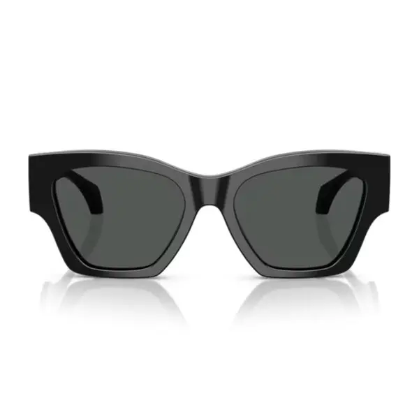 Versace 0ve4492u Signature Sunglasses - Black