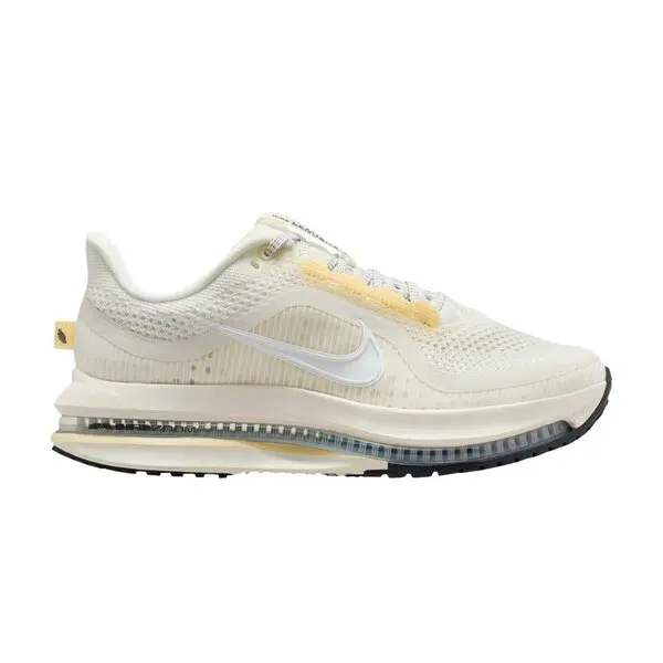 Nike Pegasus Premium