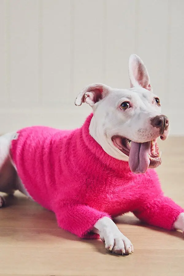 FURB Eyelash Knit Pet Sweater - Pink