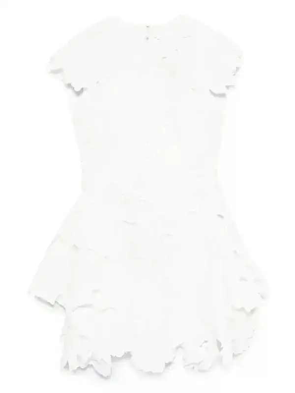 holloway embroidered mini dress SIMKHAI Women's Holloway Embroidered Mini Dress in White, Lace, Size 6 main image 0