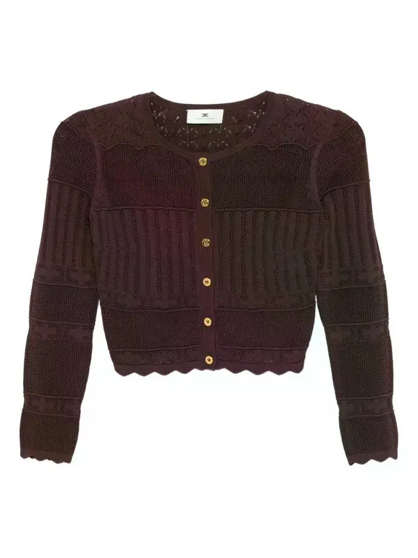 Elisabetta Franchi Openwork Embroidered Cardigan - Brown