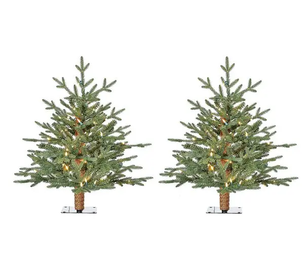 FRASER HILL FARM 2 Ft. Green Alpine Porch Accen T Tree Set Of 2