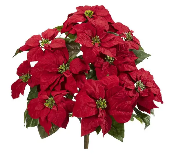 NEARLY NATURAL 24' Poinsettia Artificial Plant