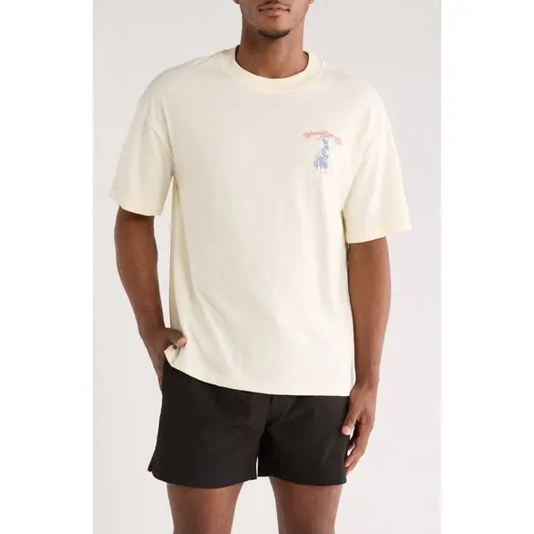 PACSUN Between The Pines Graphic T-shirt