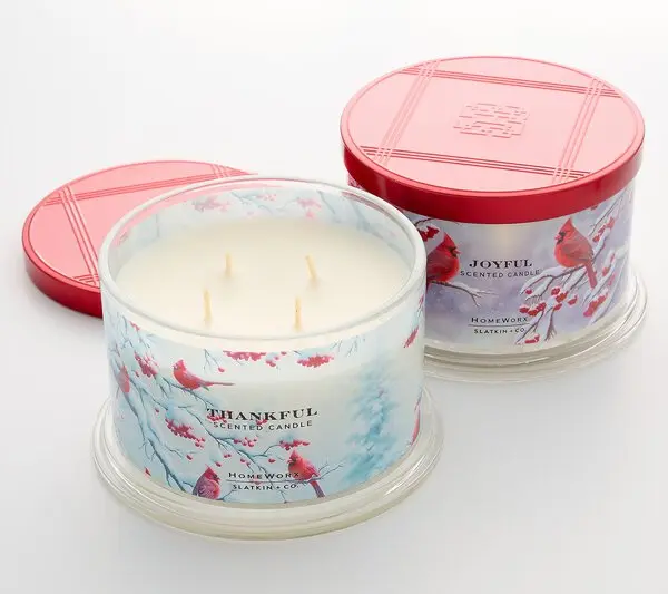 HOMEWORX BY SLATKIN + CO. S/2 18oz Cardinalcandles