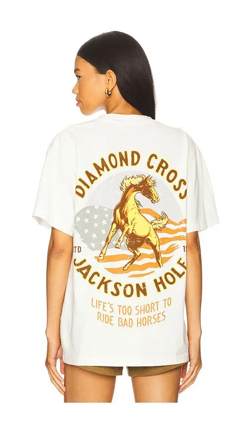 DIAMOND CROSS RANCH American Horse - White