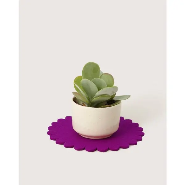 GRAF LANTZ Crest Merino Wool 10" Trivet - Fuchsia