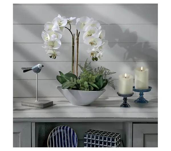 VALERIE PARR HILL 20' Potted Orchid Arrangement Valerie