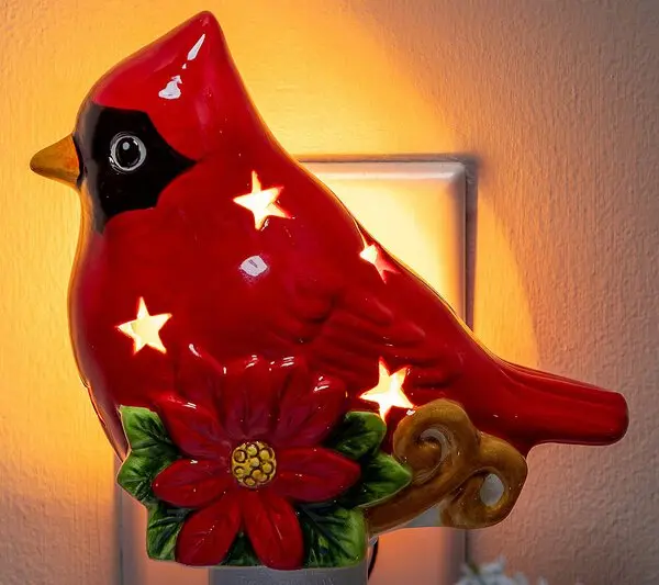 EVERGREEN 5.5'h Ceramic Cardinal With Poinsetti A Nightlight