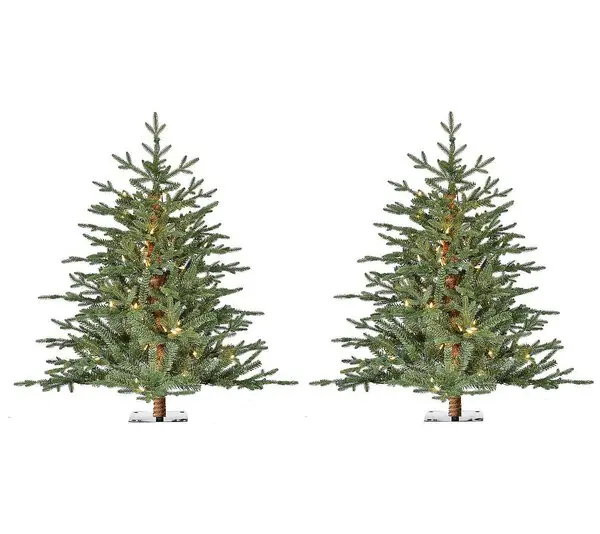 FRASER HILL FARM 3 Ft. Green Alpine Porch Accen T Tree Set Of 2