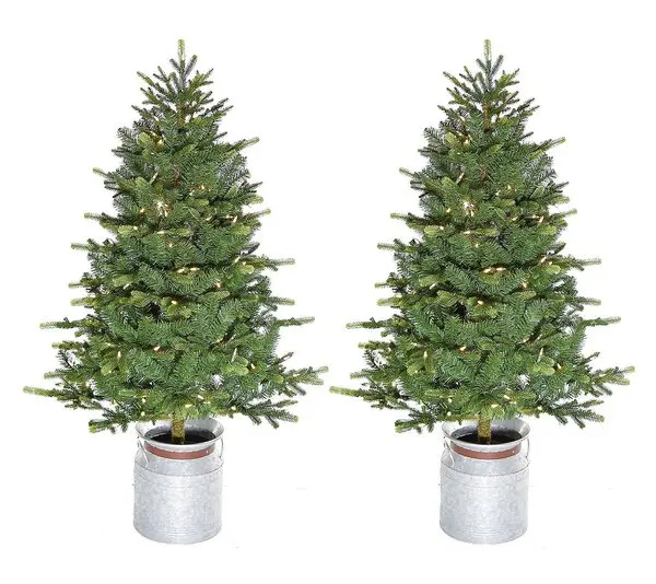 FRASER HILL FARM 3.5-ft. Porch Accent Tree Set Of 2