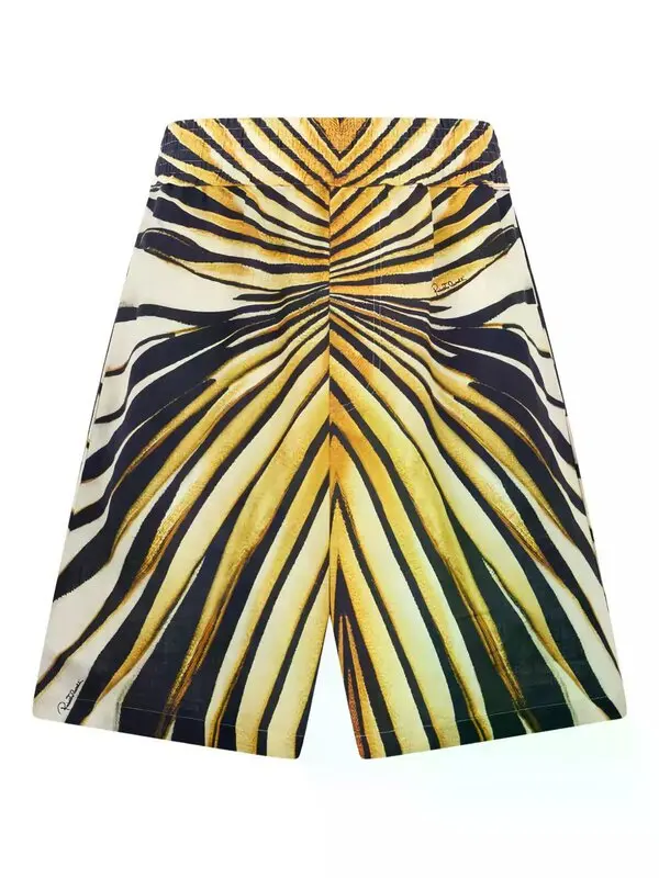 Roberto Cavalli Ray Of Gold Printed Shorts