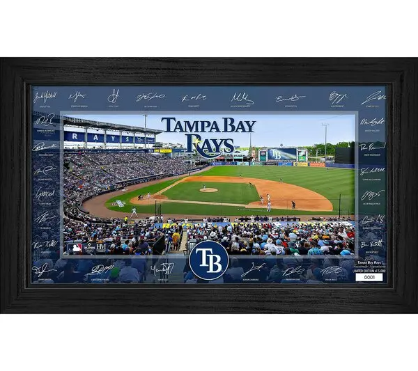 HIGHLAND MINT Tampa Bay Rays 2025 Signature Fie Ld Frame