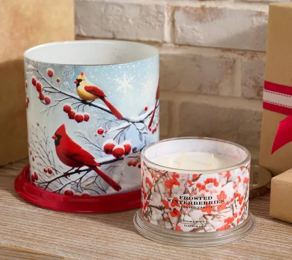 HOMEWORX BY SLATKIN + CO. As Is Snowycardinal Hurricane W18oz