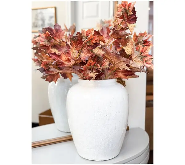SIMPLY STUNNING BY JANINE GRAFF Simply Stunning S/5 Real Touch Maple Leaf Picks