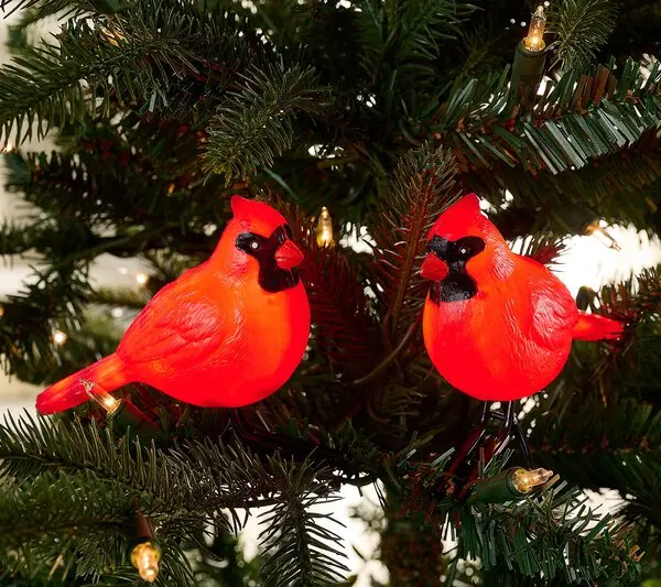 BETHLEHEM LIGHTS As Is S/2 Illum Cardinal Tree Clips